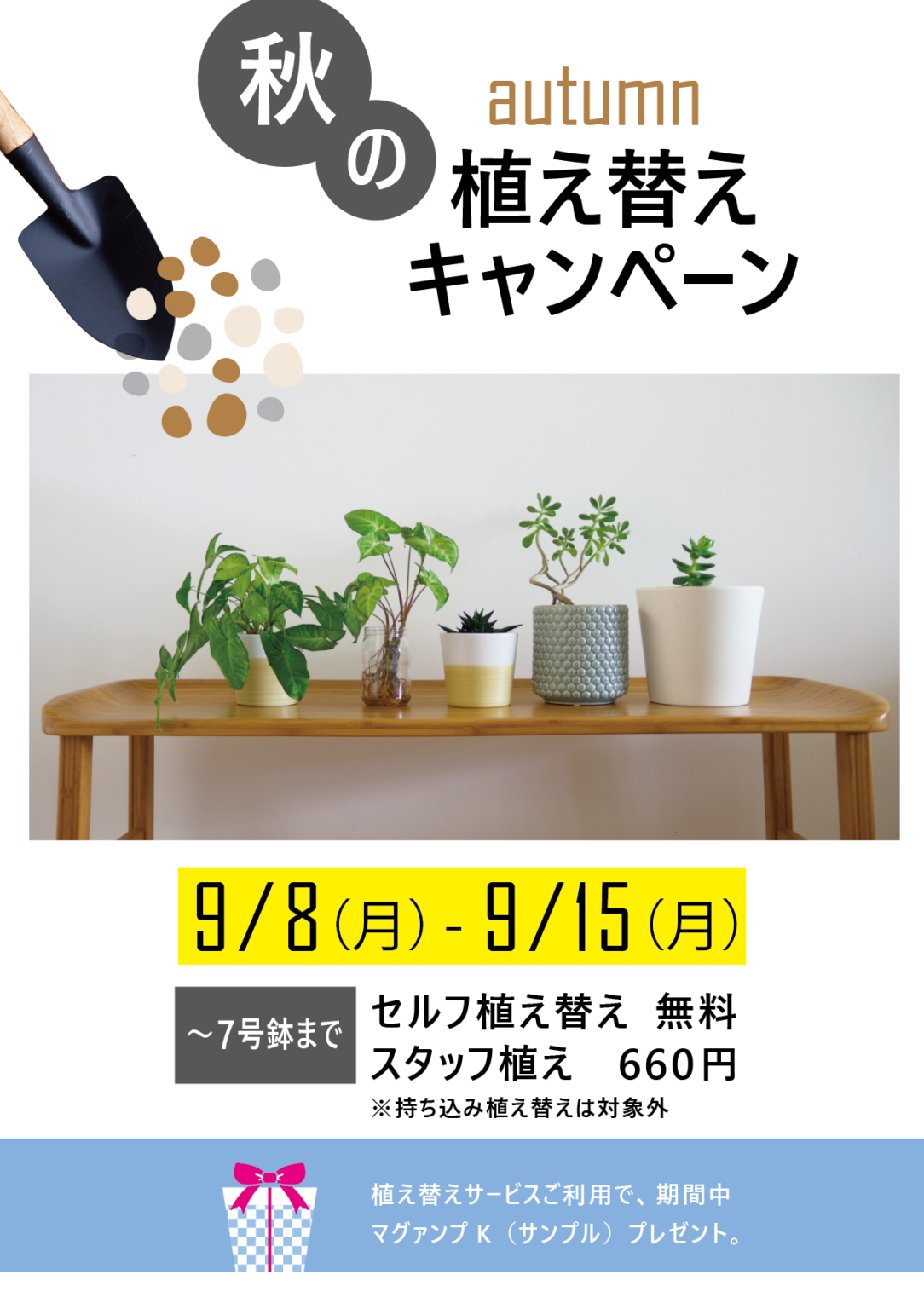 【ゆめが丘】9/8（月）～15（月）秋の植え替えキャンペーン | PROTOLEAF